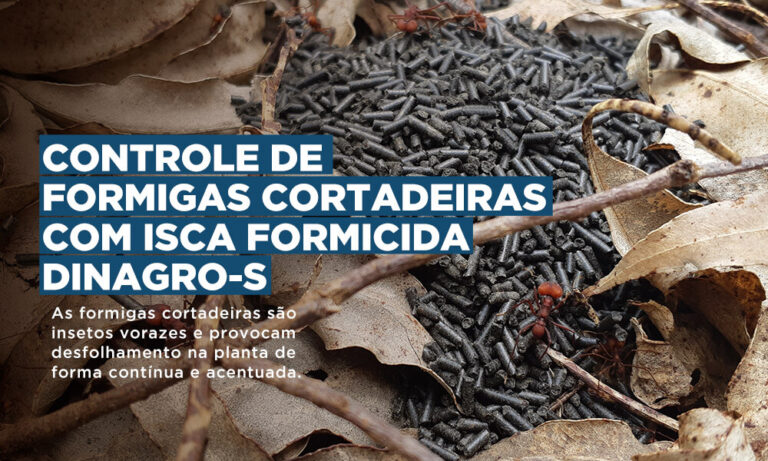 Controle de formigas cortadeiras com isca formicida Dinagro-S - Dinagro